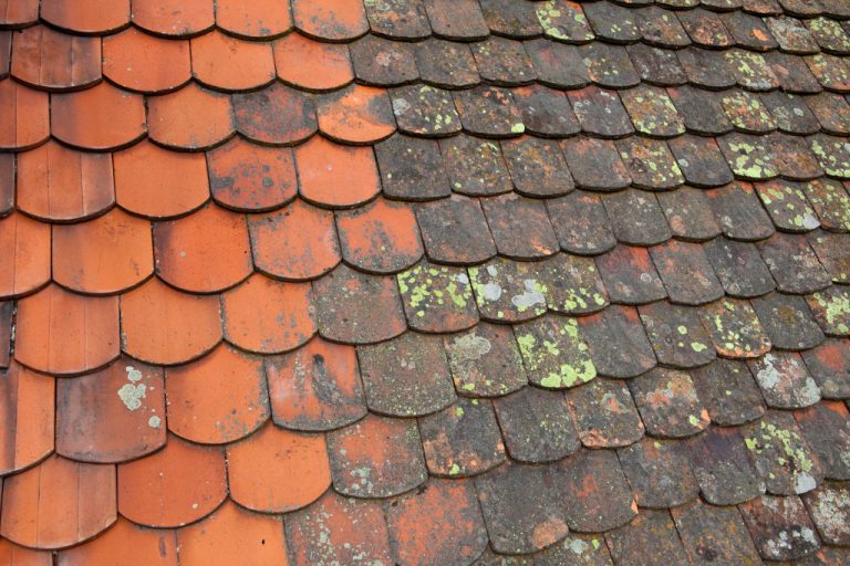What Indicates That It's TIme for New Roofing | Seen Moments